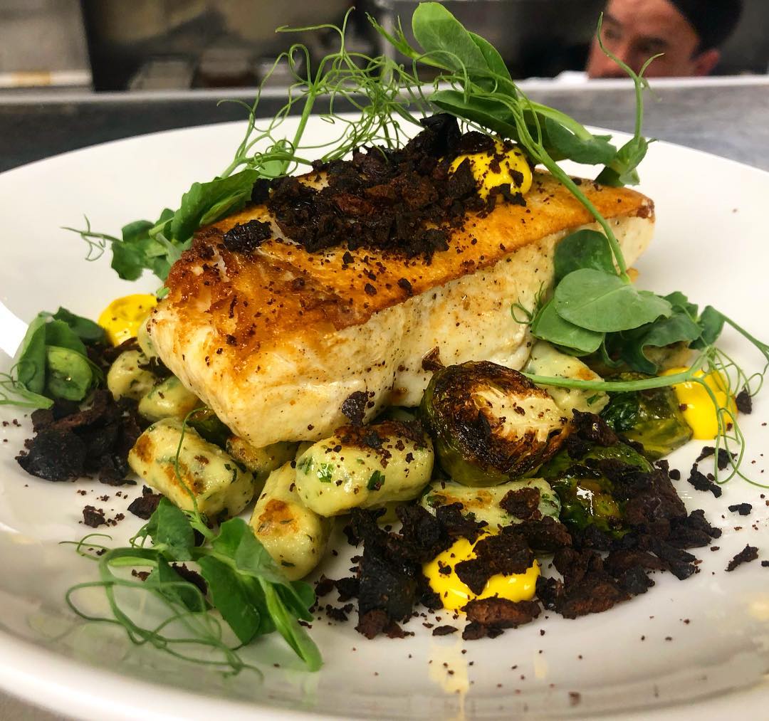 Spring Has Sprung in Bar Harbor and Acadia